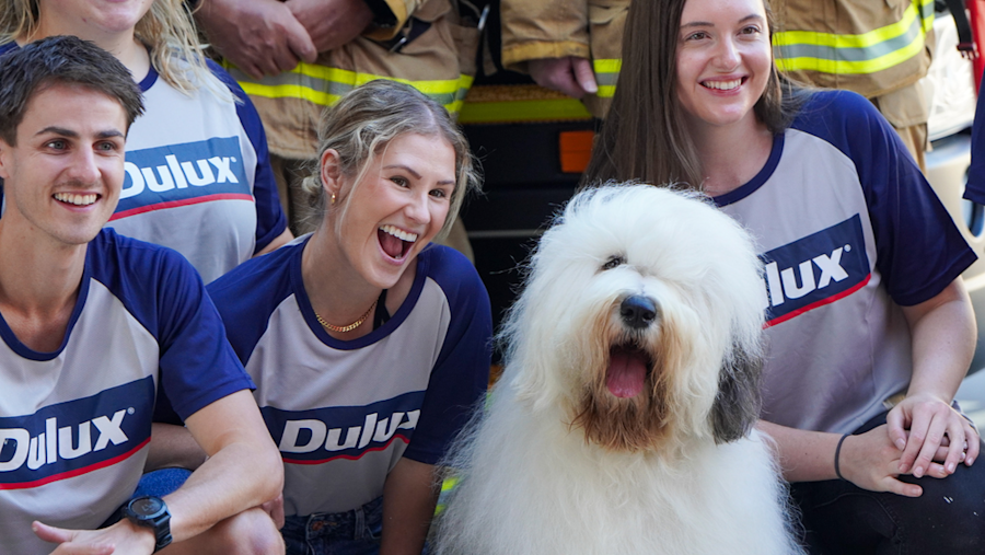 Edithvale CFA | Dulux