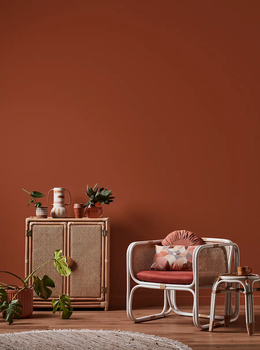 Pookie Bear Browns | Dulux