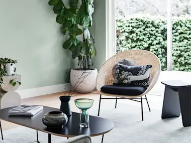 How to achieve the biophilic design look | Dulux NZ