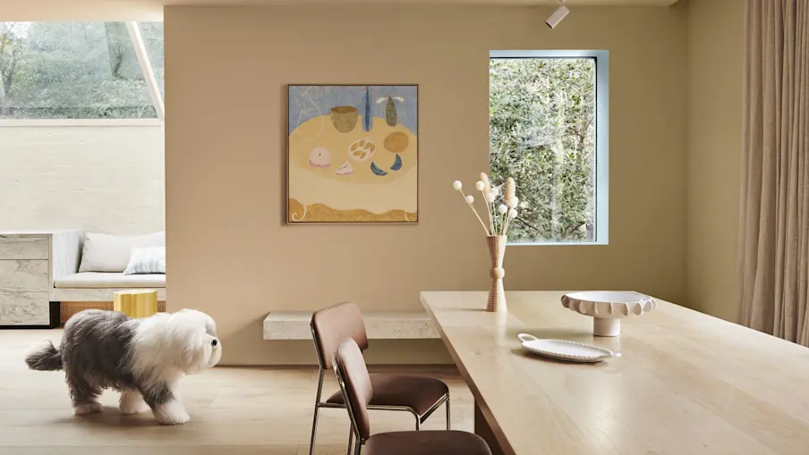 Dulux Paint Colours and Schemes | Dulux