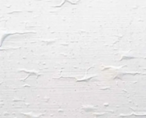 How to Fix Roller Marks / Stipple Problems | Dulux