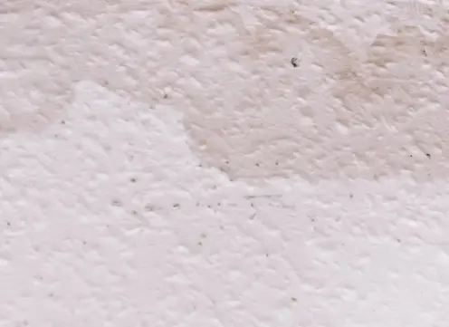 PRECISION® Advanced Stain & Odour Blocker | Dulux