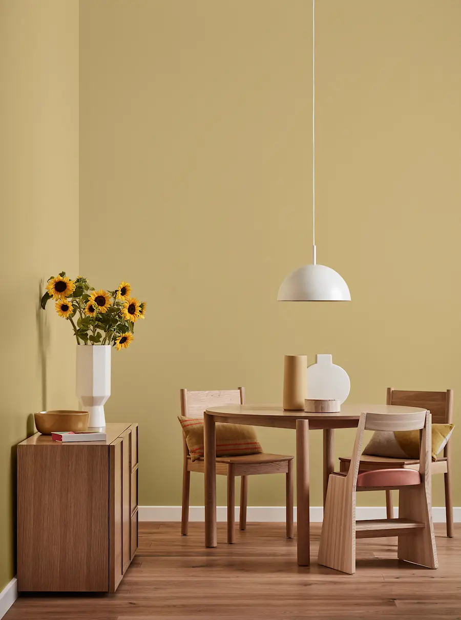 Aviva S16 | Dulux