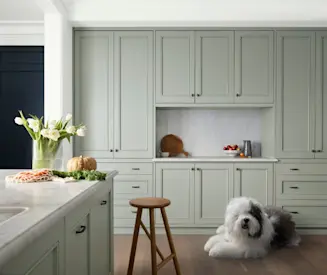 How to choose a sheen level | Dulux NZ