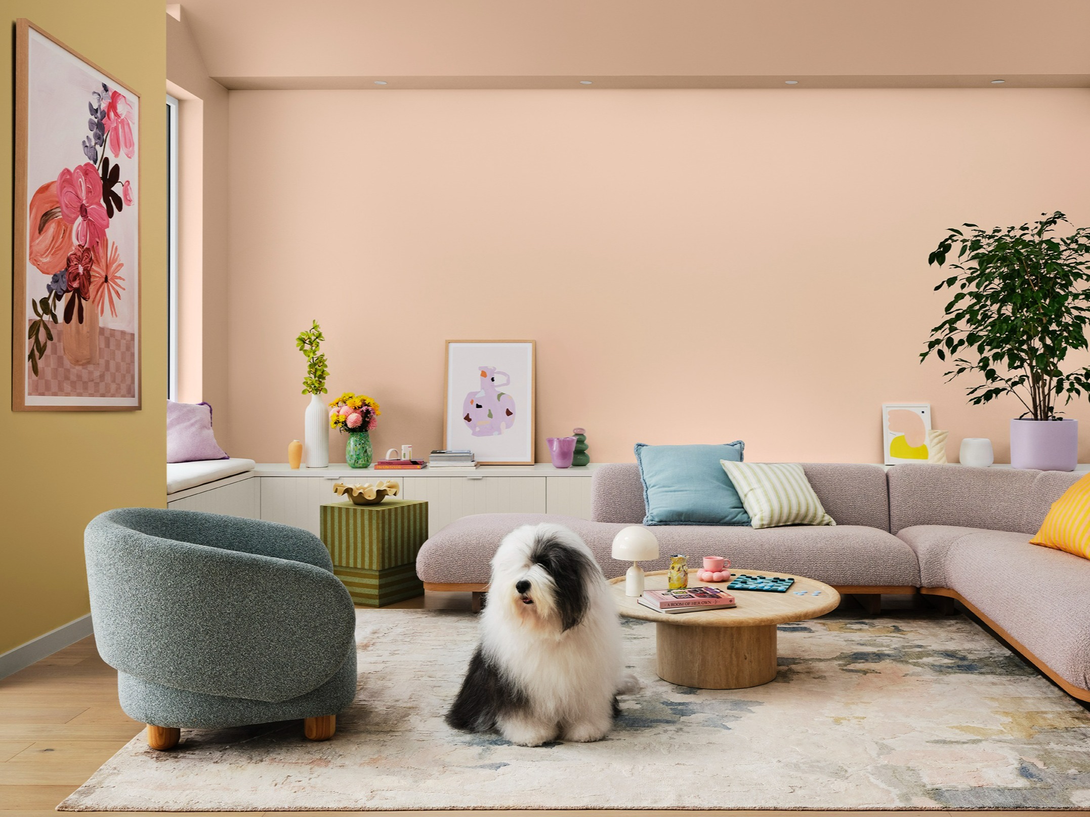 Latest wall colour store