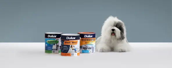 Explore the world of Dulux project guidance | Dulux