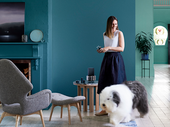 Understanding Colour Basics | Dulux