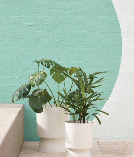 Dulux Paint | The Colours of New Zealand®