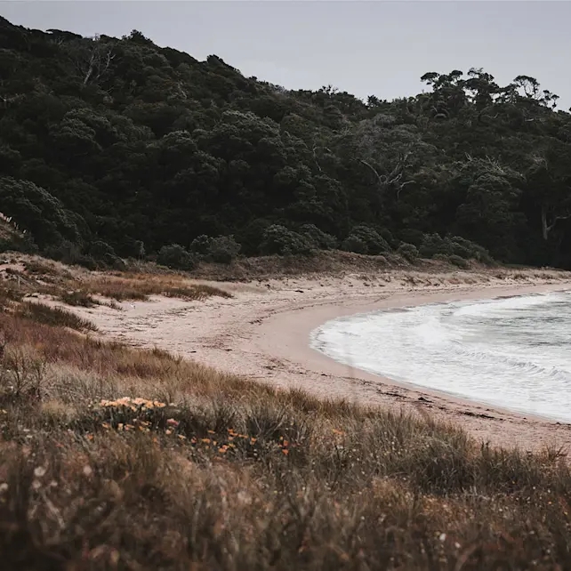 Heritage Collection | Dulux NZ