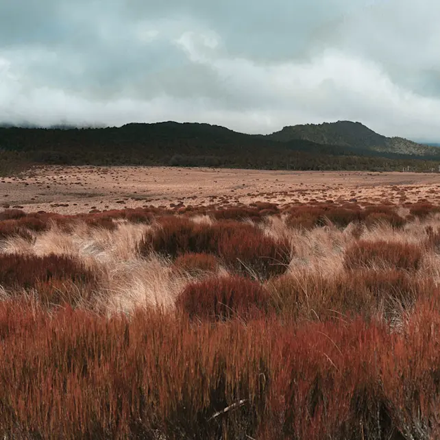 Heritage Collection | Dulux NZ