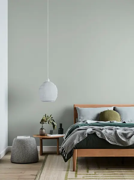 Spanish Olive Greys - SG5 | Dulux
