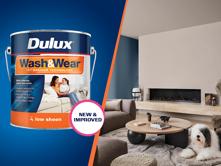 Specifier Colour Forecast 2025 | Dulux