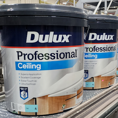 Dulux Professional® Ceiling Flat White | Dulux
