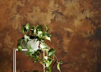 How To Paint Using Specialty Finishes | Dulux