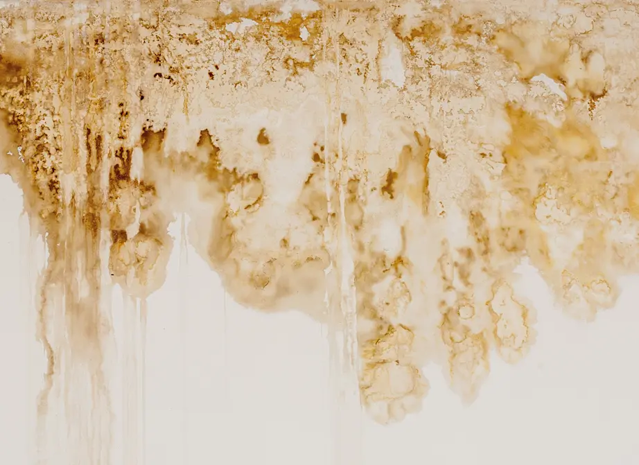 PRECISION® High Opacity Stain Blocker | Dulux