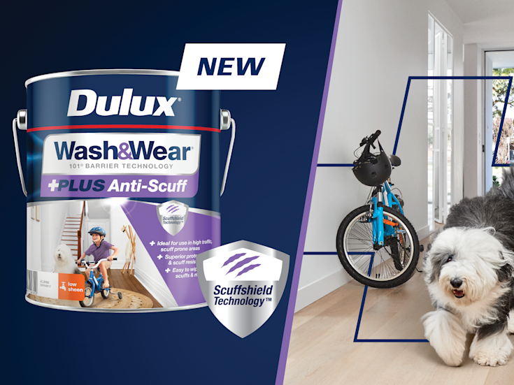 Wash&Wear® Range | Dulux