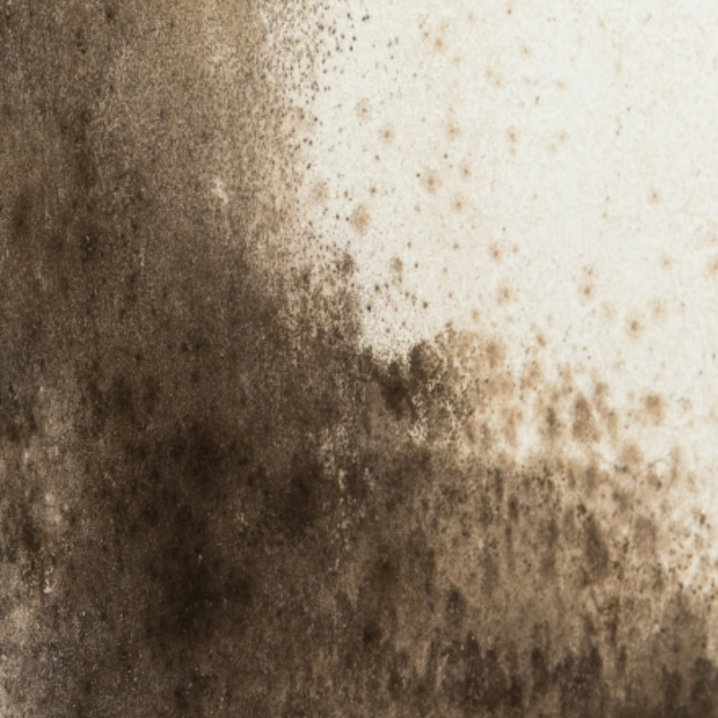 PRECISION® Stain & Mould Blocker | Dulux