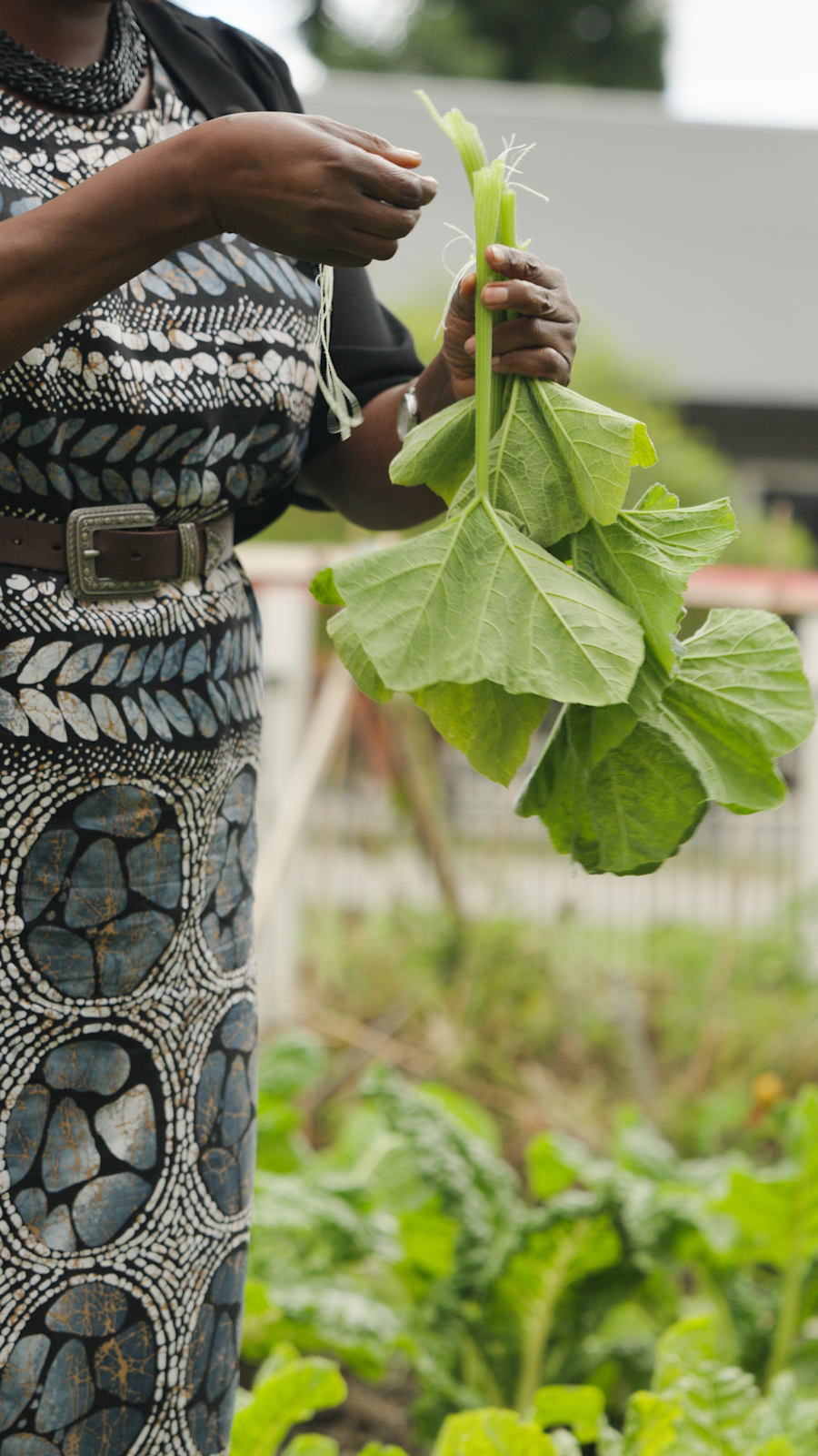 Afri-Aus Care | Dulux