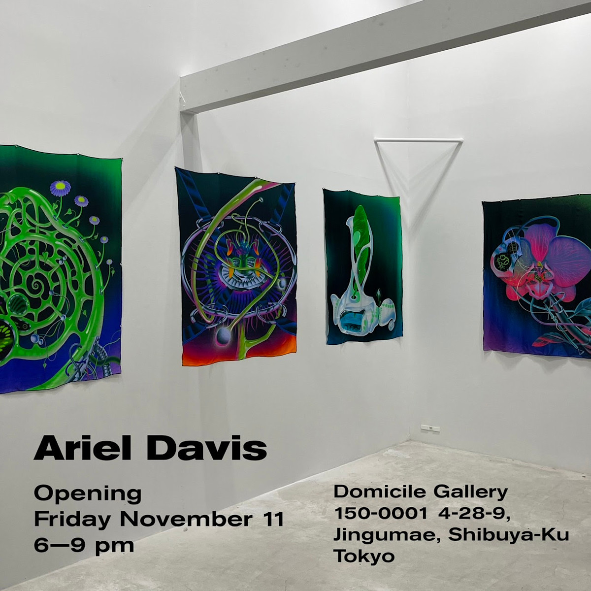 Ariel Davis 展 （DOMICILE TOKYO） ｜Tokyo Art Beat