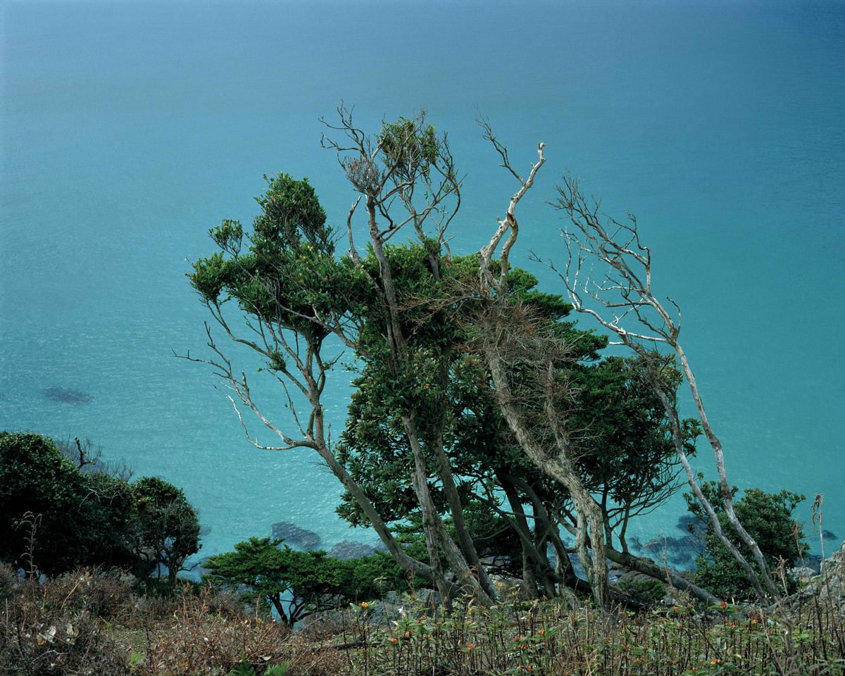 田川基成 「海の記憶」 （LIBRIS KOBACO（リブリス コバコ）） ｜Tokyo Art Beat