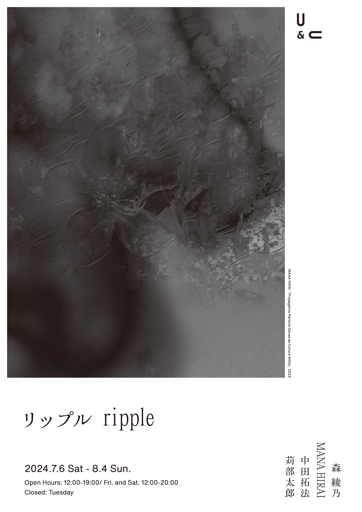 Ripple （Up & Coming） ｜Tokyo Art Beat