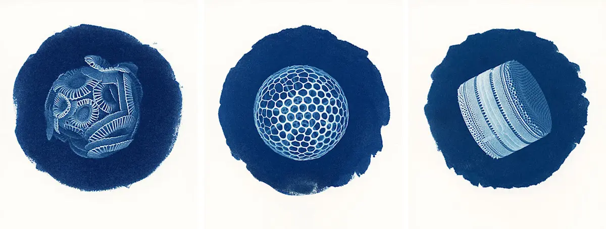 「helena cc: Oceans of Time」 （アート島センター） ｜Tokyo Art Beat