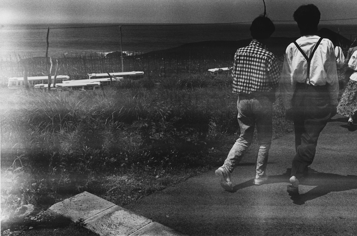 Asako Narahashi "Dawn in Spring" （PGI） ｜Tokyo Art Beat