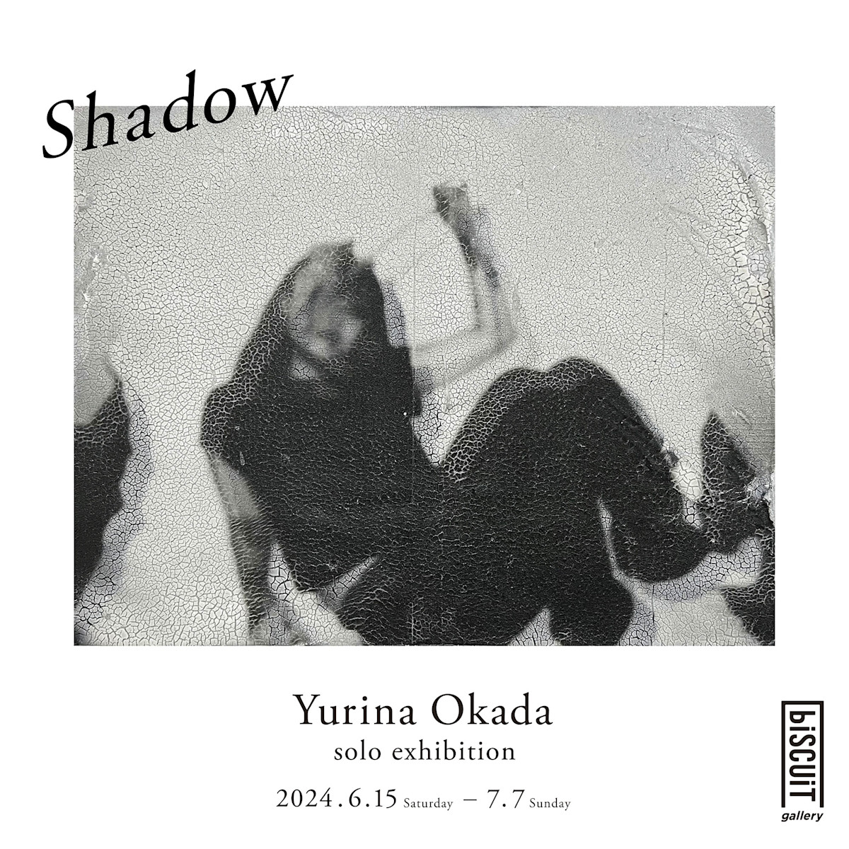 Yurina Okada "Shadow" （Biscuit Gallery） ｜Tokyo Art Beat
