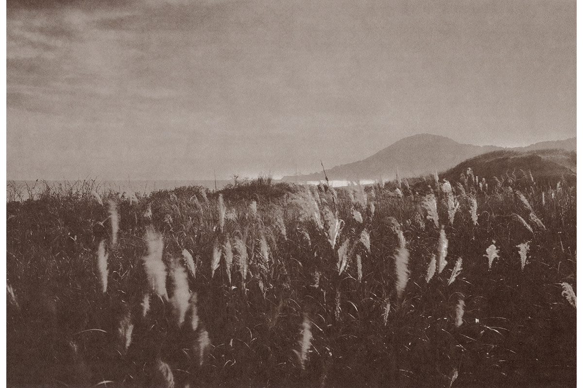 Kino Koike "Hama sa" （Gallery Main） ｜Tokyo Art Beat