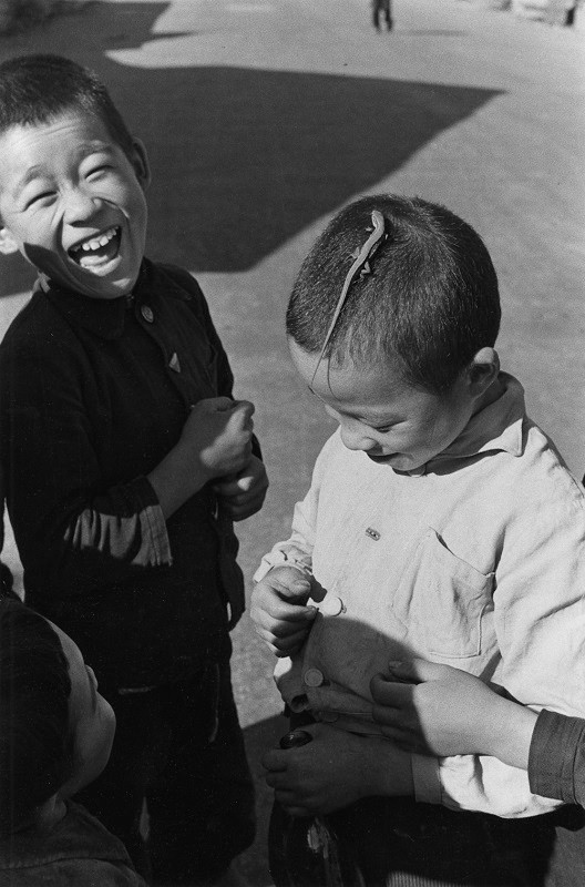 Masterpieces - Postcard Collection （Ken Domon Museum of Photography ...