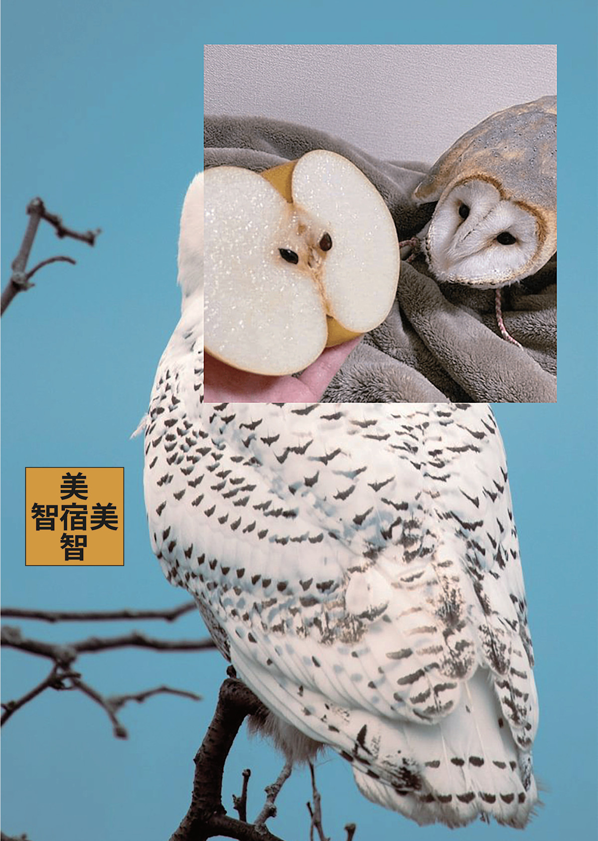 ナビッド・ヌール 「Itʼs not about getting lost in translation but about ...