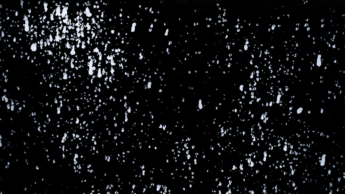 Ray Kunimoto "Silent Rain" （Contrast） ｜Tokyo Art Beat