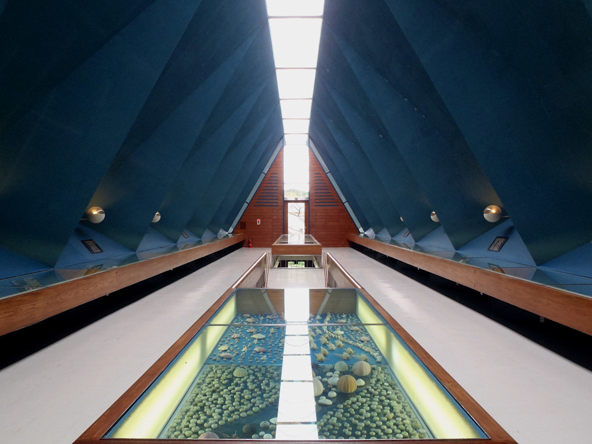 Focus on Architecture - 15 Museums in Japan: A Journey Through the ...