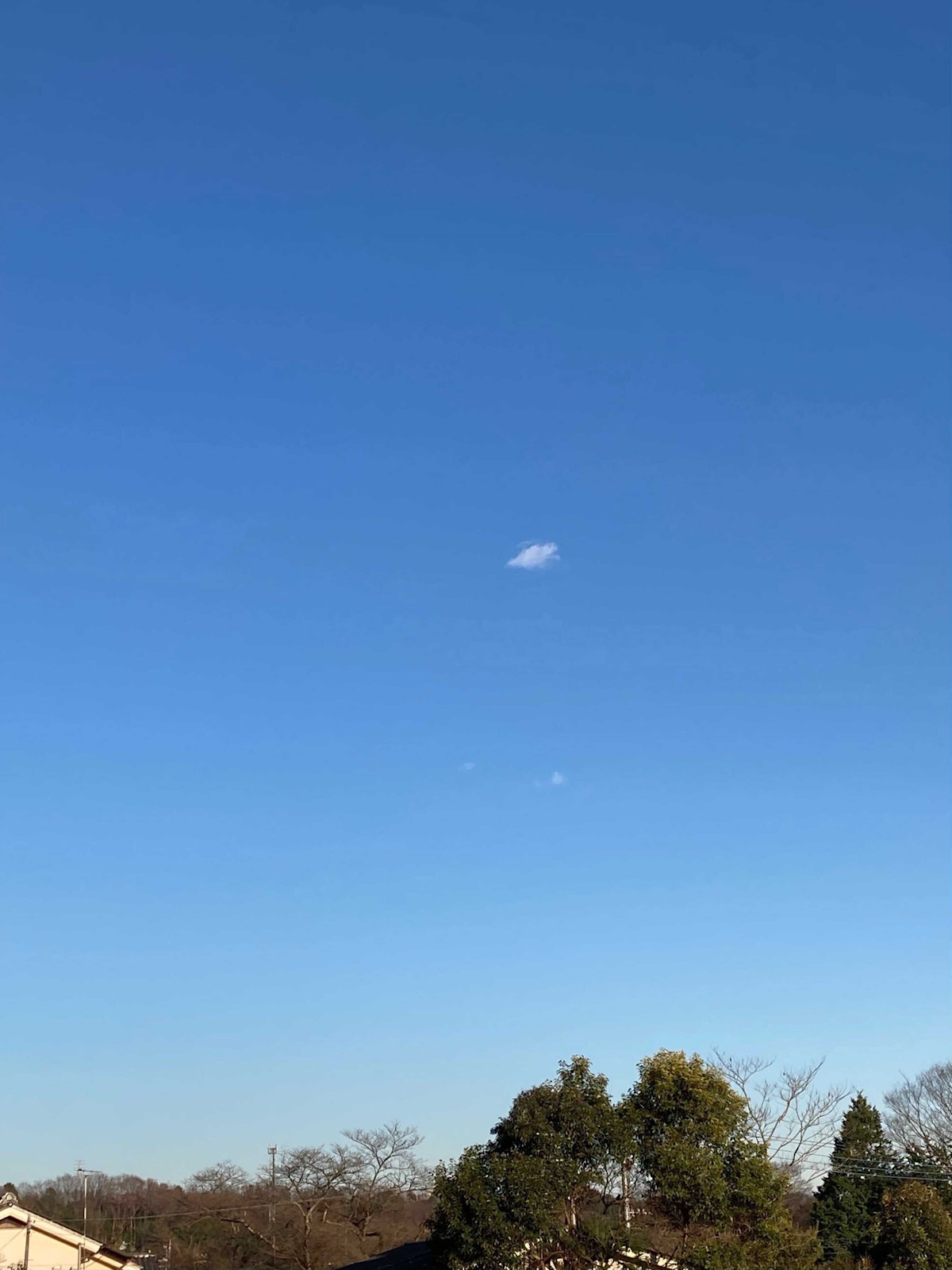 「飄」 （OGU MAG） ｜Tokyo Art Beat