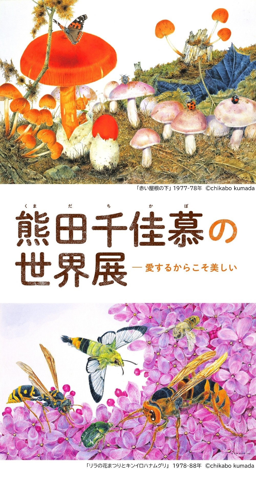 Chikabo Kumada Exhibition （Okuda Genso Sayume Art Museum ） ｜Tokyo Art Beat