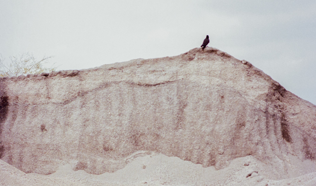 「島をつくる | Planning another island」 （MYNAVI ART SQUARE（マイナビアートスクエア ...