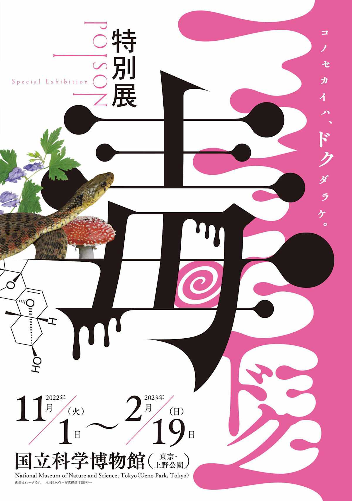 「毒」 （国立科学博物館） ｜tokyo Art Beat
