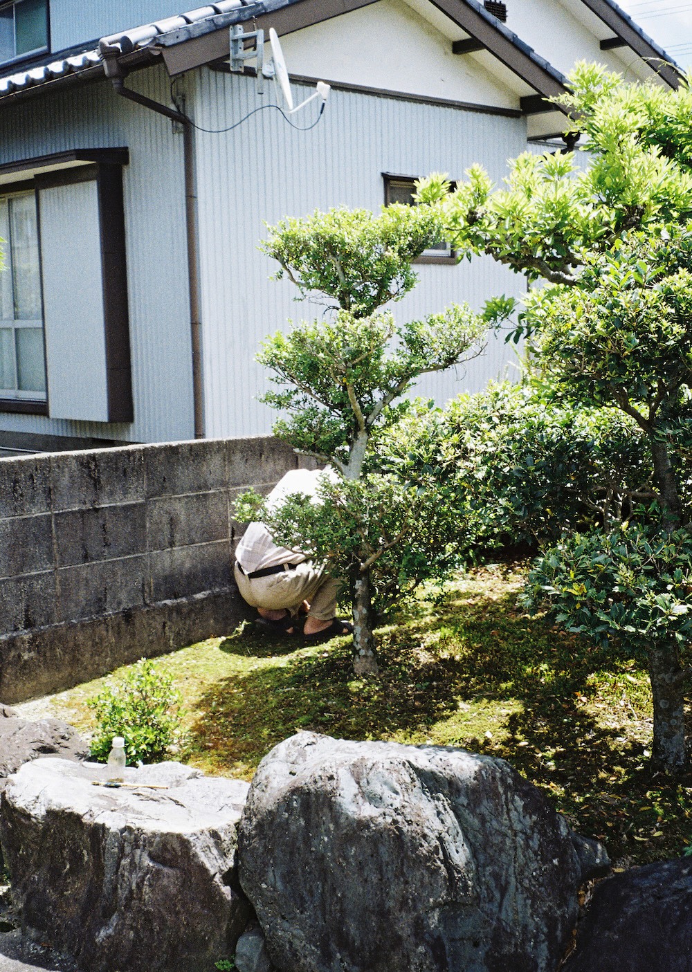 Miki Takahashi "The Flowers of that Garden / Specimens" （LAG (Live Art ...