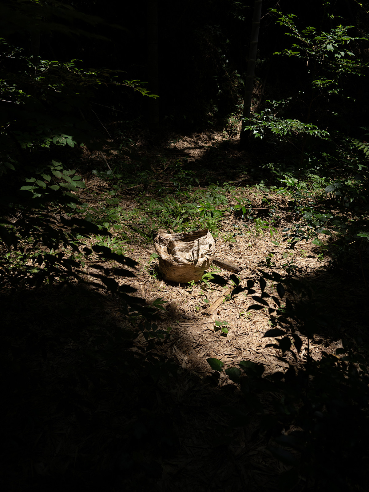 Gen Taniguchi "One" （Akichi (Bessitsu)） ｜Tokyo Art Beat