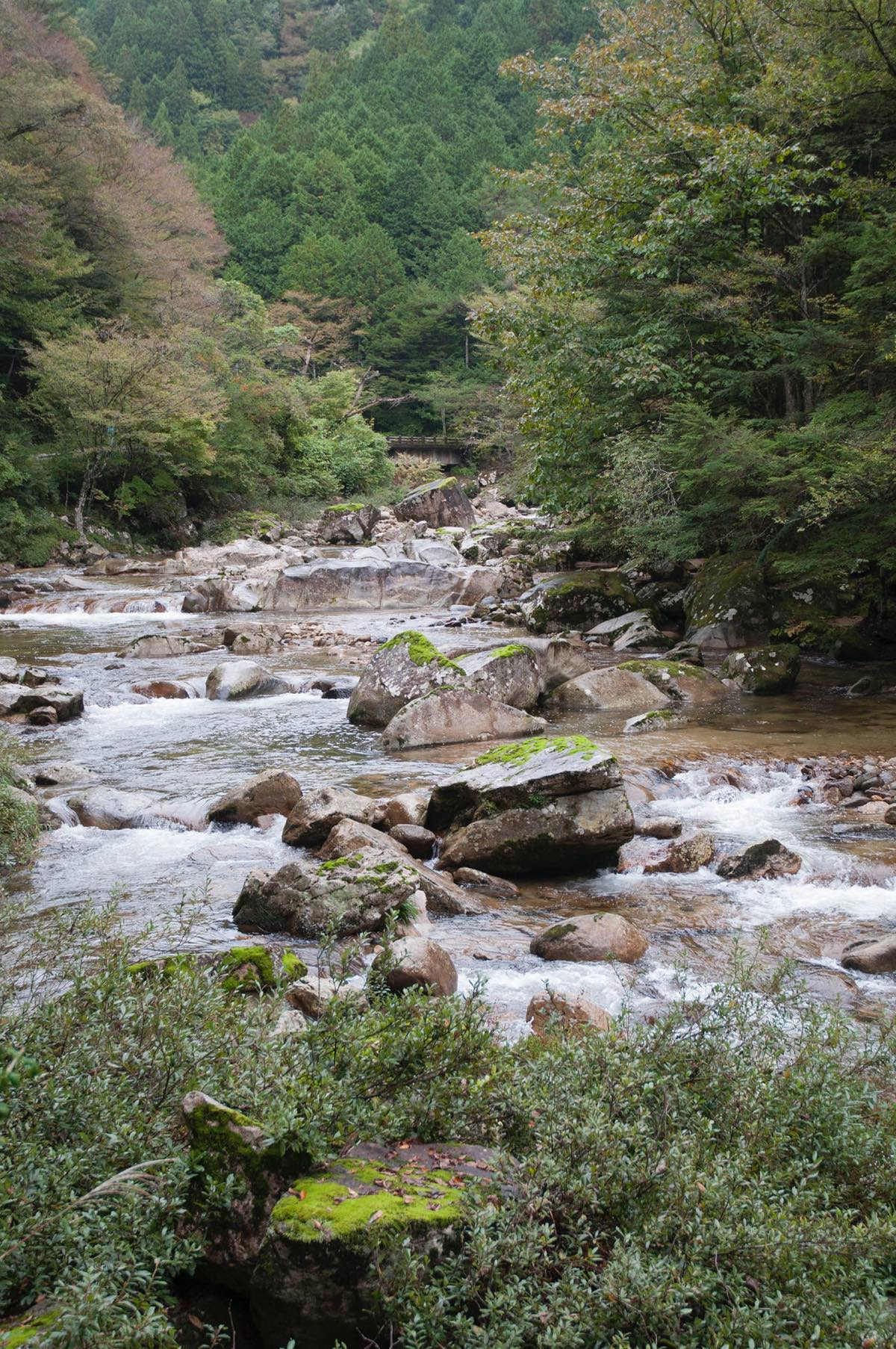 Takayuki Suzuki "The Forest Beyond, Under My Feet — place / wire ...