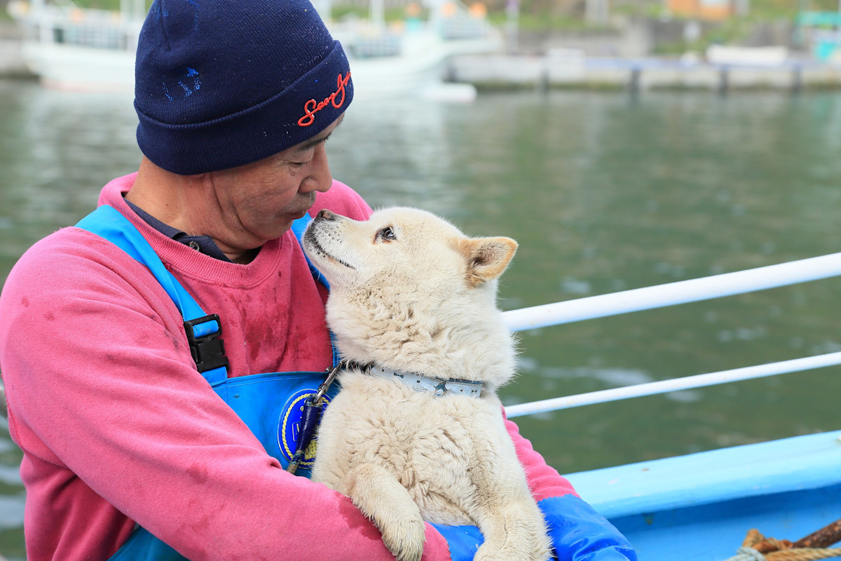 Tamaki Ozaki "Fisher Dog Taro: After the Tsunami..." （Sony Imaging ...