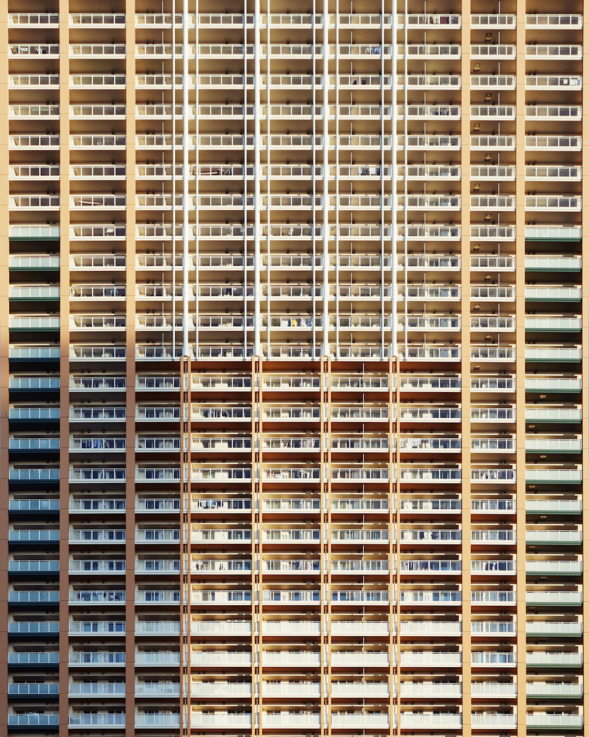 Takuya Furusue "MASS ≠ 〼" （America-Bashi Gallery） ｜Tokyo Art Beat