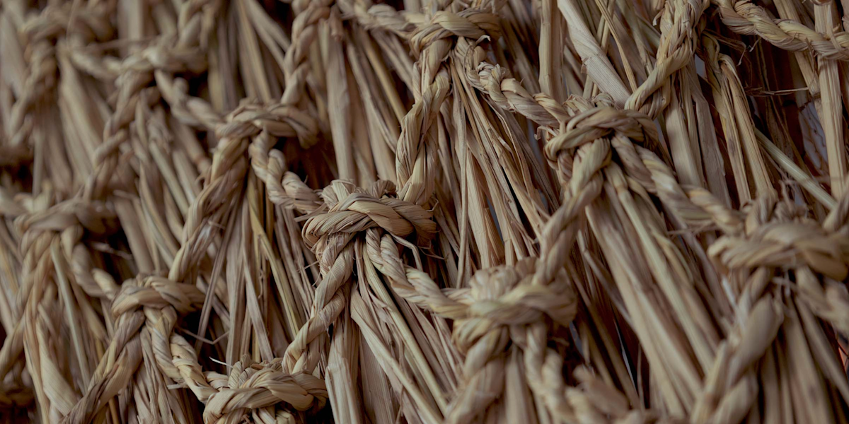 Straft 「Formative」 （MIDORI.so GALLERY） ｜Tokyo Art Beat