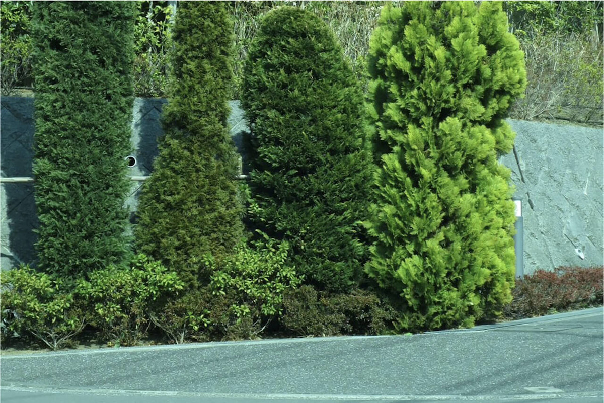 「Mutual」 （2x2x2） ｜Tokyo Art Beat