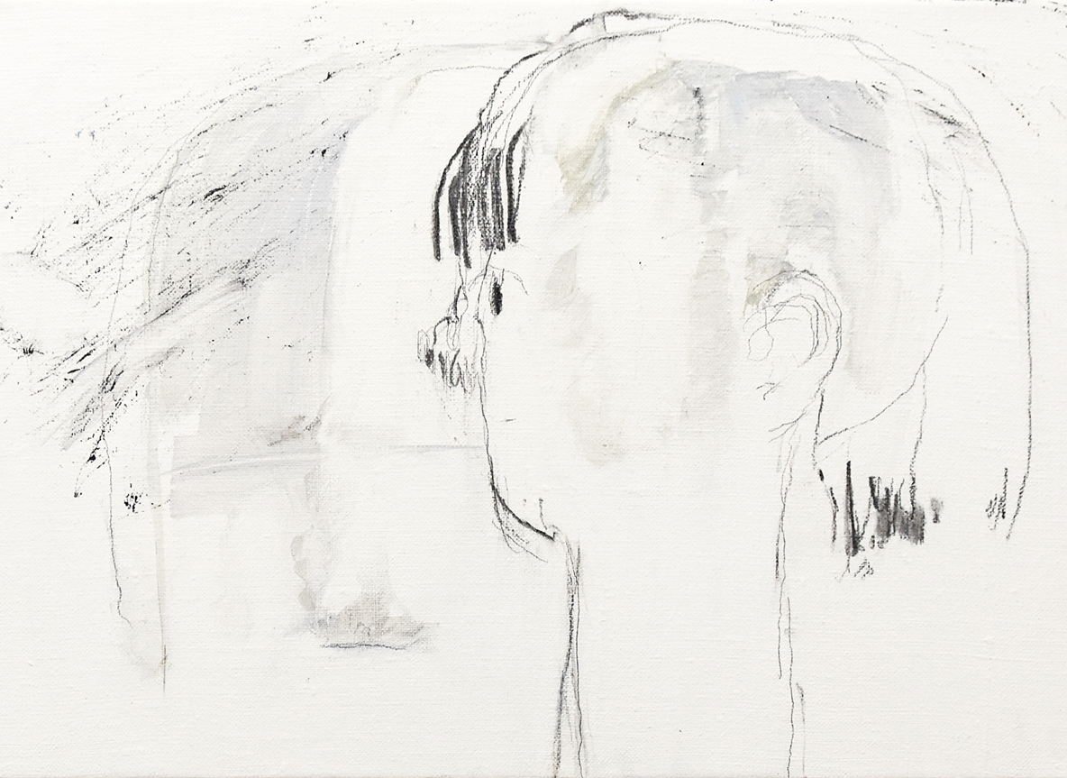 Young Artist Support Program Voyage 2024: Nana Shibuya "Two Wheels of ...