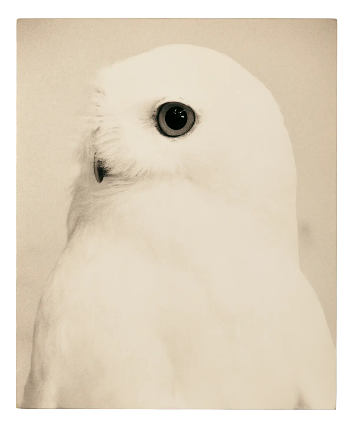 山本昌男 展 （風光 huko） ｜Tokyo Art Beat