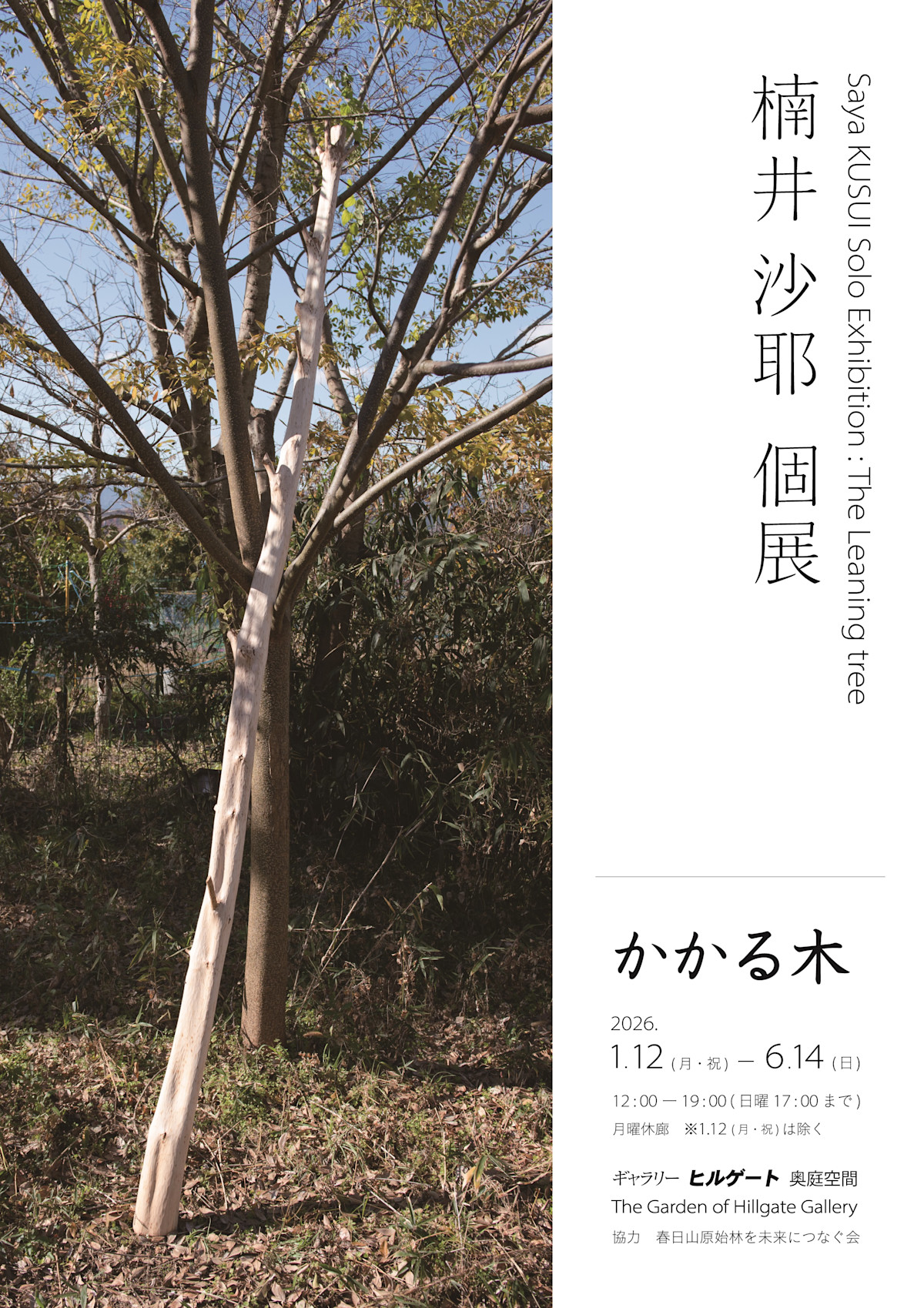 Saya Kusui "The leaning tree" （Gallery Hillgate） ｜Tokyo Art Beat