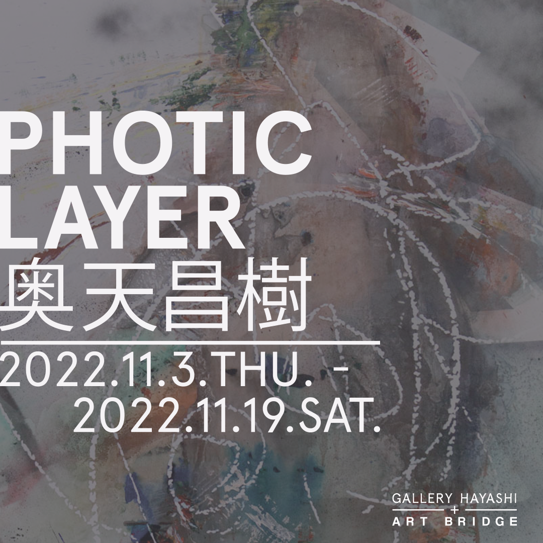 奥天昌樹 「PHOTIC LAYER」 （GALLERY HAYASHI + ART BRIDGE） ｜Tokyo Art Beat