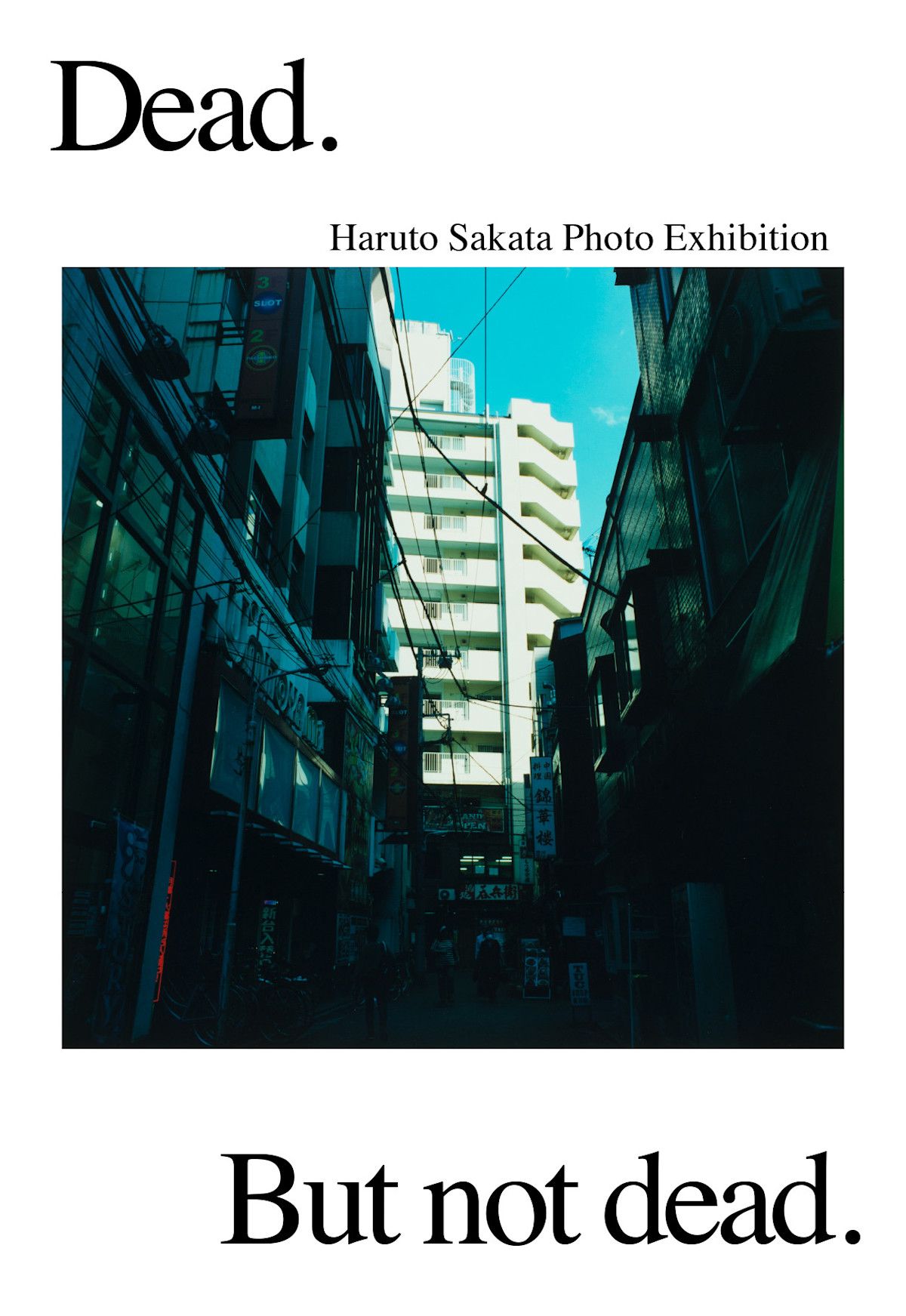 Haruto Sakata "Dead. But not dead." （Alt_Medium） ｜Tokyo Art Beat