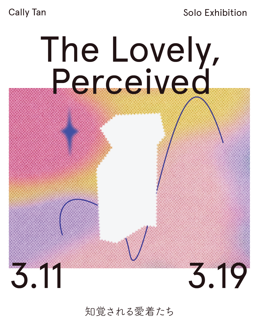 Cally Tan "The Lovely, Perceived" （Liamgallery） ｜Tokyo Art Beat